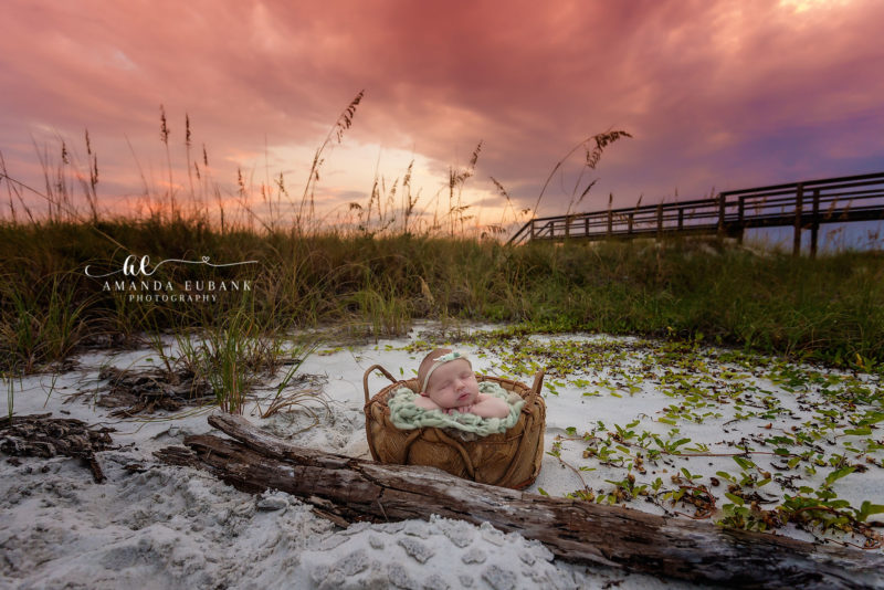 Sunset Beach Newborn Photographer Destin FL – Baby Savannah – Destin ...
